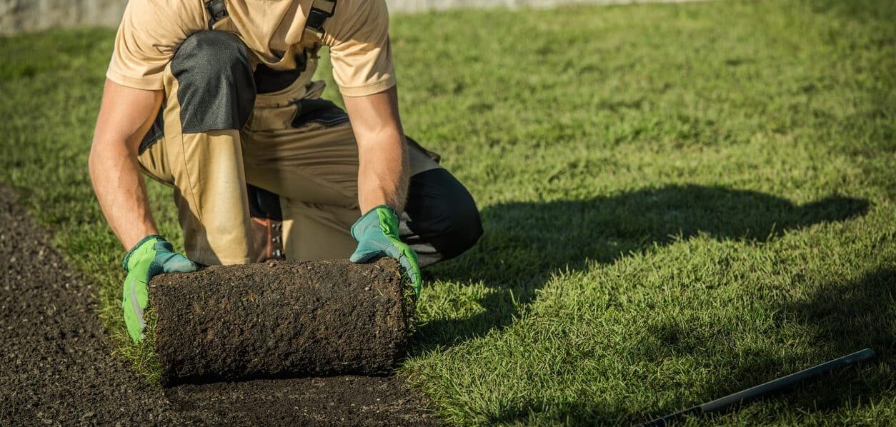 22114 - Landscape and horticulture technicians and specialists - WorkPEI