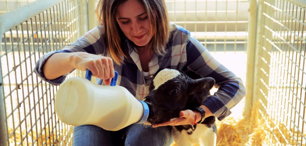 85100 - Livestock labourers - WorkPEI